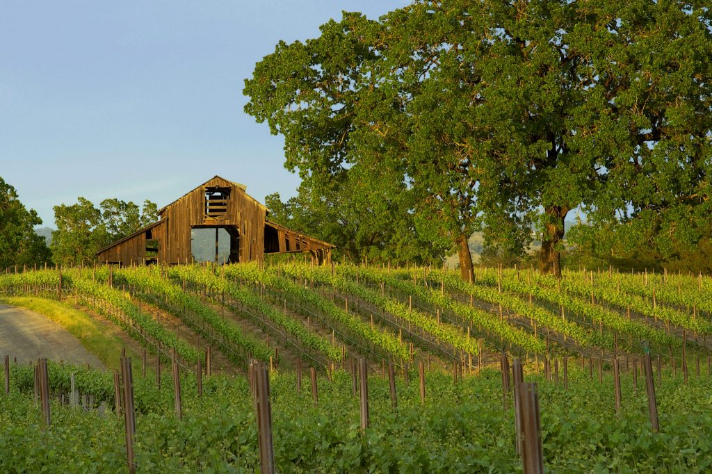 Info and Photos - Trione Vineyards and Winery