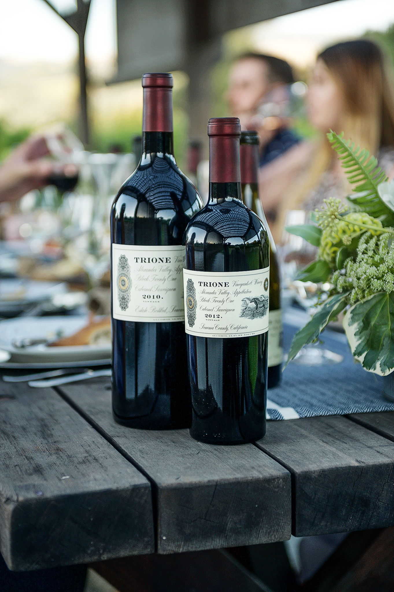 Planet Grape Reviews Trione Wines - Trione Vineyards and Winery