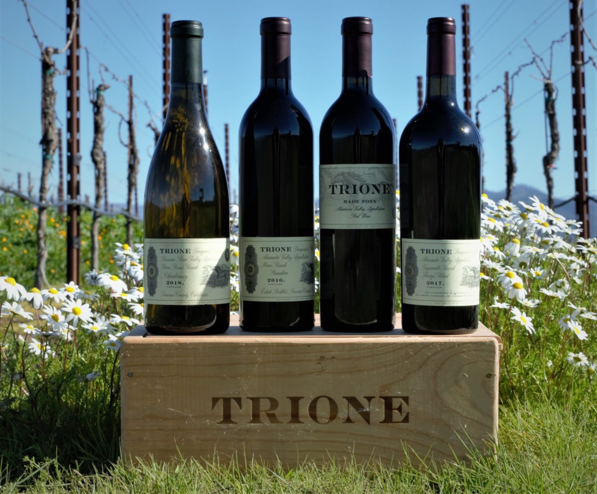 Upcoming Events – Trione Vineyards and Winery